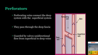Update venous reflux | PPT