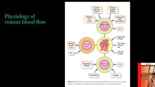Update venous reflux | PPT