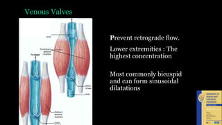 Update venous reflux | PPT