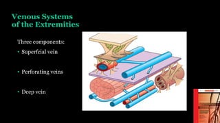 Update venous reflux | PPT