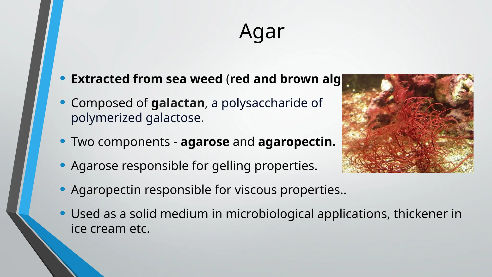 PECTIN, PECTIC SUBSTANCES AND FOOD GUMS | PPTX