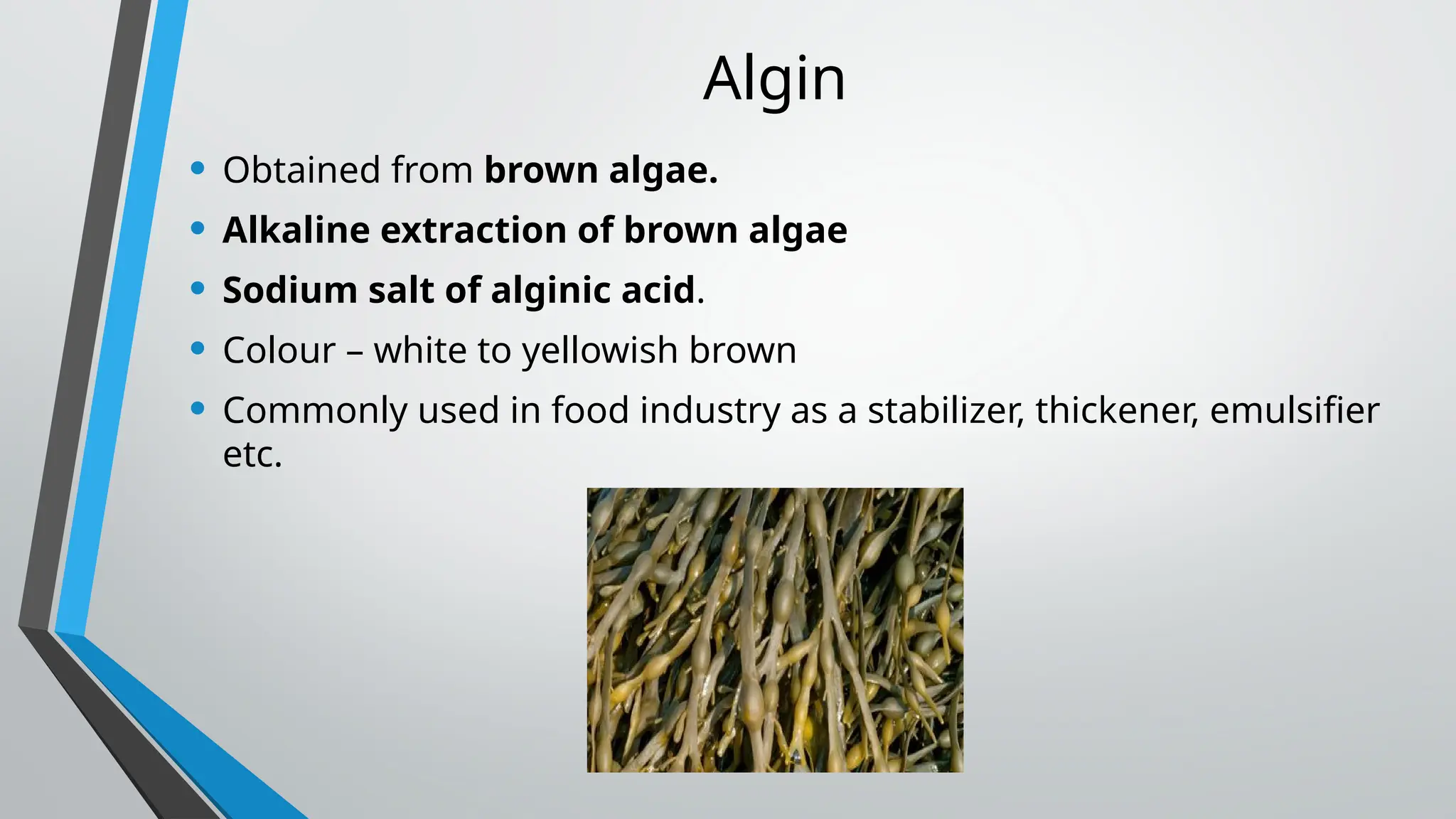 PECTIN, PECTIC SUBSTANCES AND FOOD GUMS | PPTX