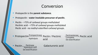 PECTIC SUBSTANCES, PECTIN AND FOOD GUMS | PPT