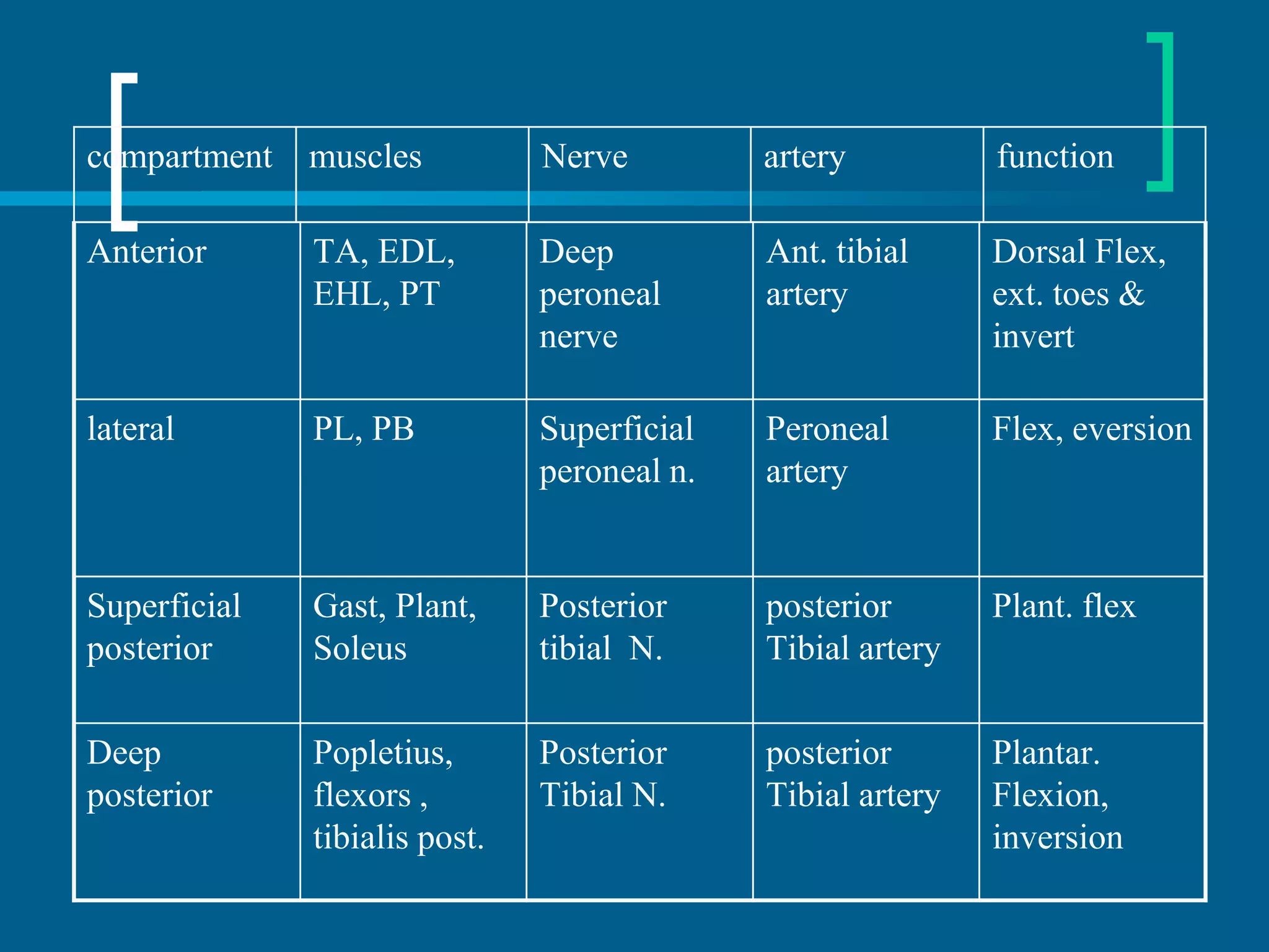 Uper n middle third leg defects | PPTX