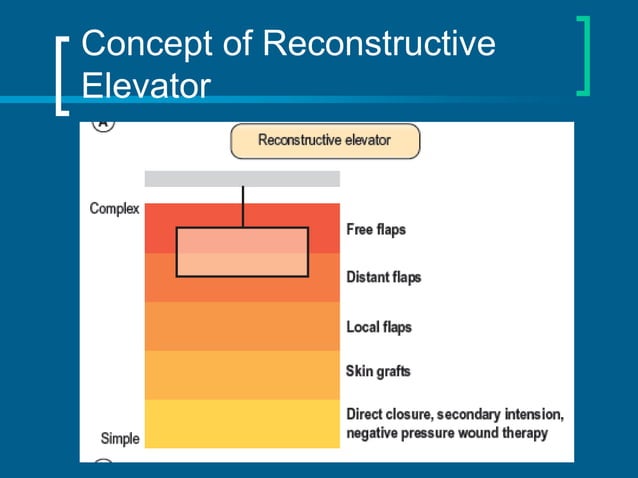 Uper n middle third leg defects | PPTX