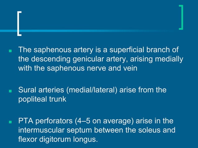 Uper n middle third leg defects | PPTX