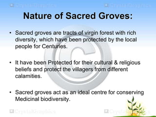 Conservation of Medicinal Plants in Western Ghats through Sacred Groves ...