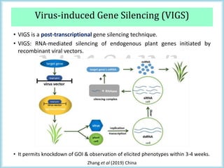 Gene Silencing in Fruit Crops | PPTX