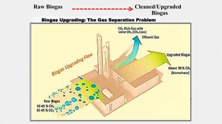 Upgradation technology.pdf of biogas project | PDF