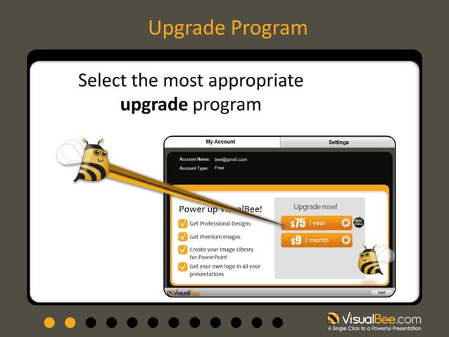 VisualBee Upgrade Guide | PPTX