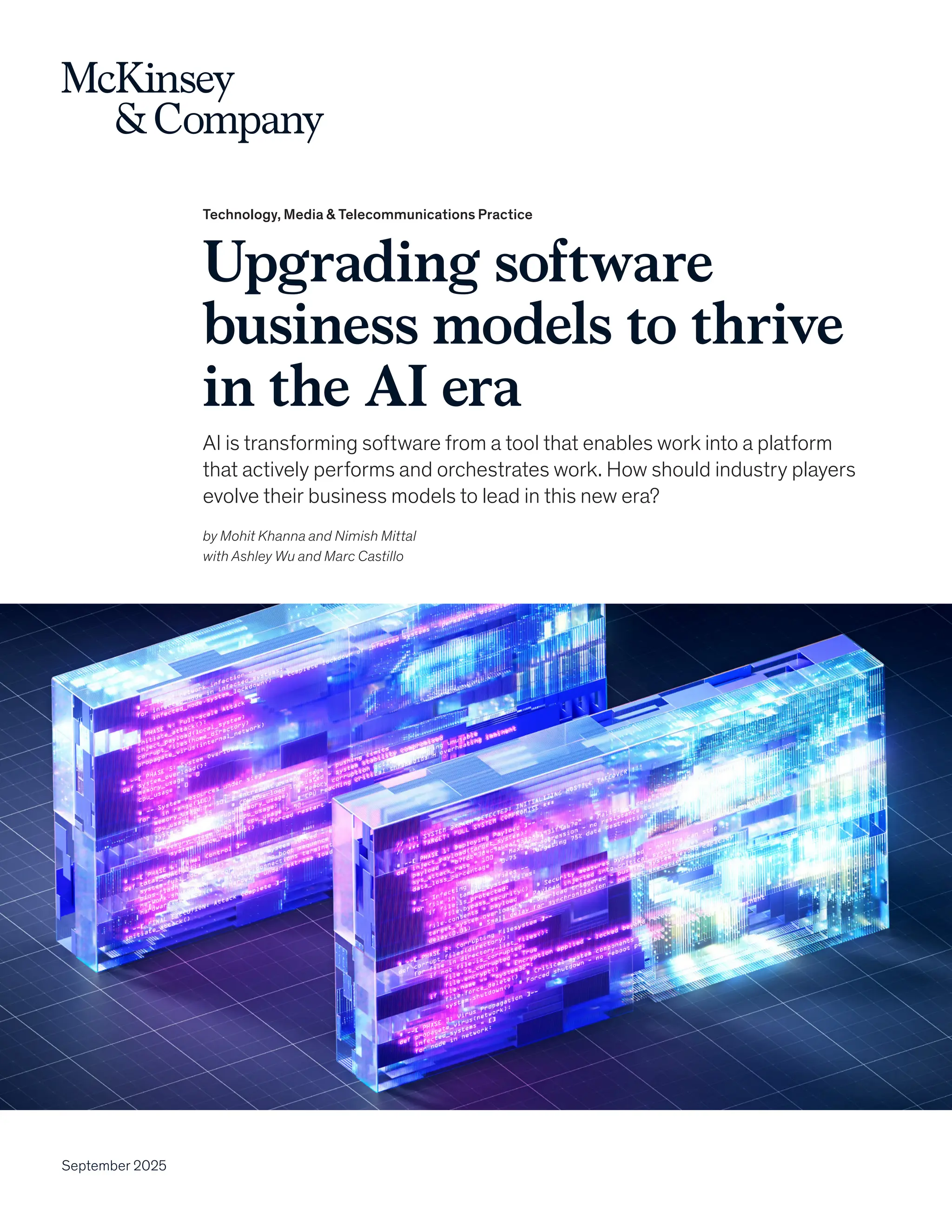 Upgrading software business models to thrive in the AI era | PDF