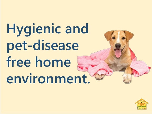 Wellbeing of the pet | PPTX