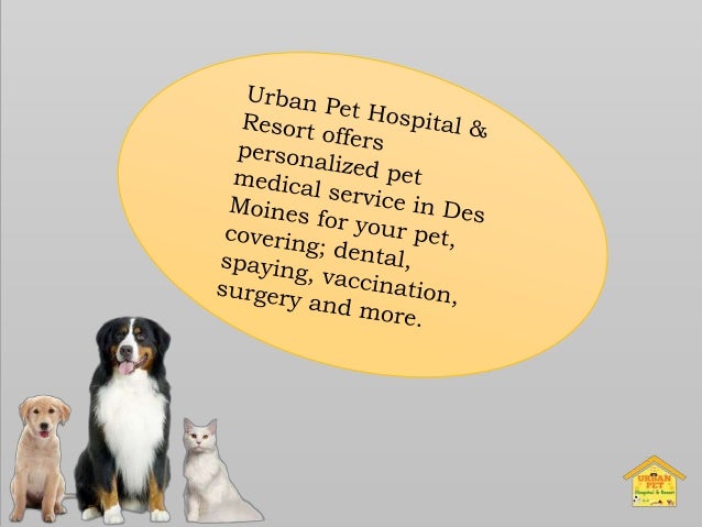 Wellbeing of the pet | PPTX