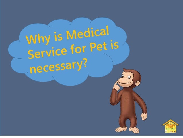 Wellbeing of the pet | PPTX