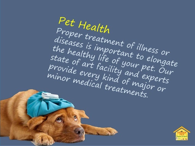 Wellbeing of the pet | PPTX