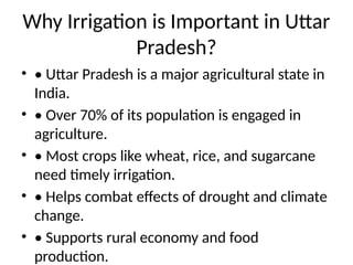 UP_Irrigation_System_Full_Presentation (1).pptx