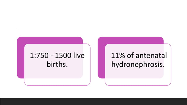 Upjo | PDF | Surgery | Medical Health
