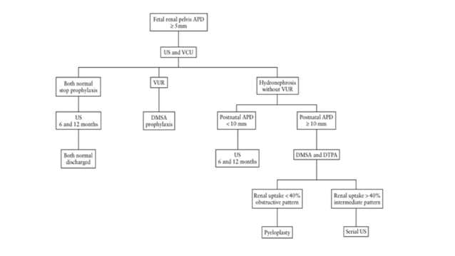 Upjo | PDF | Surgery | Medical Health