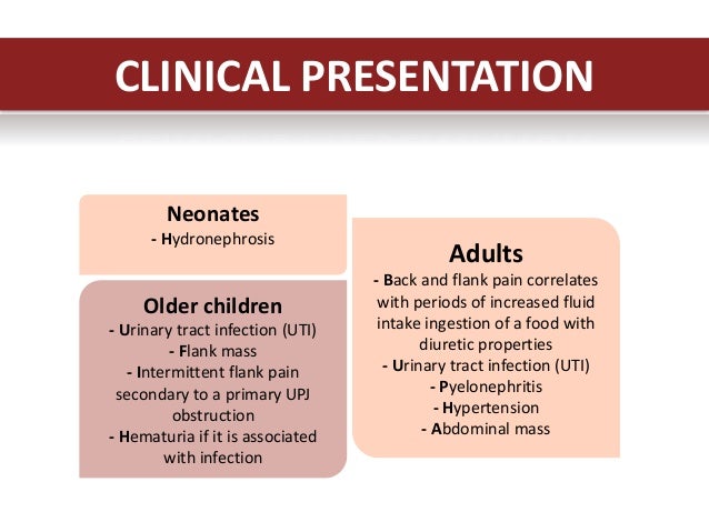 Upj Obstruction Causes Symptoms Treatment Upj Obstruction Occult