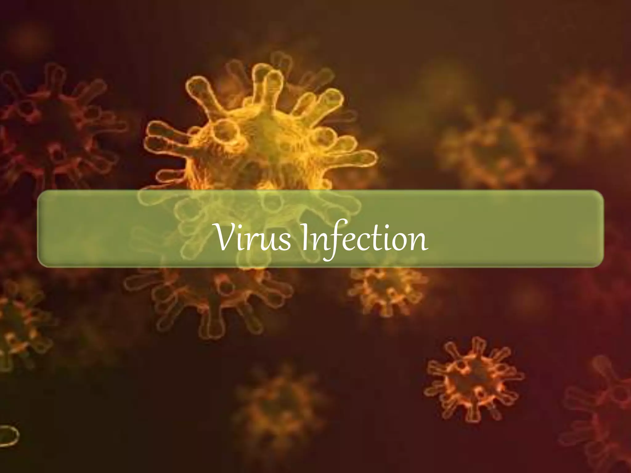 Plant Virus Infection Cycle and Synthesis | PPTX