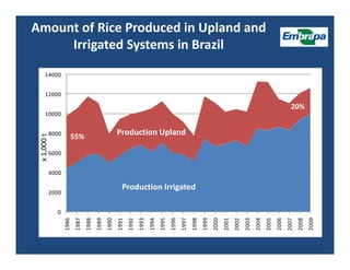 Upland rice breeding_brazil | PDF
