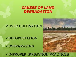 wasteland mapping | PPTX | Geography | Science