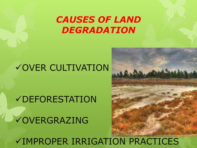 wasteland mapping | PPTX | Geography | Science