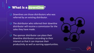 Importance of Uplines and Downlines in Direct Sales | PPT
