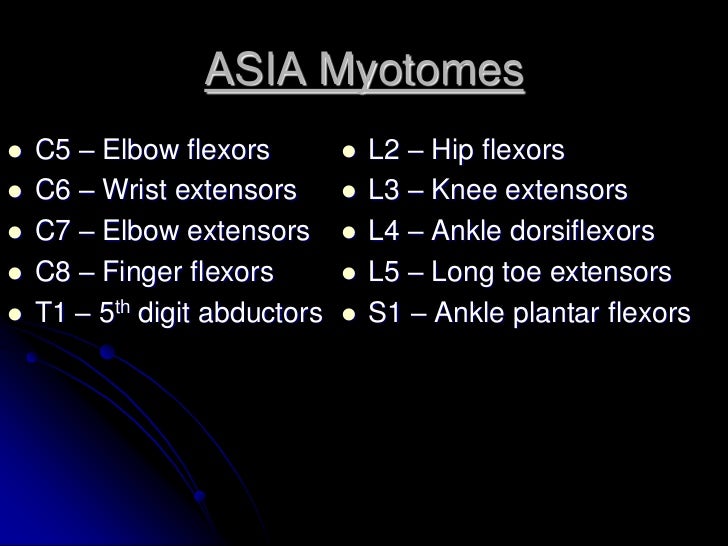 management of spinal cord injury
