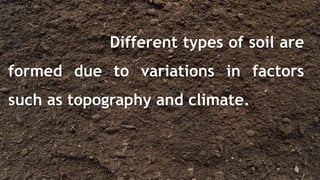 SOIL FORMATION | PPTX