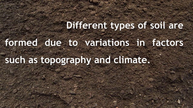 SOIL FORMATION | PPTX | Geology | Science