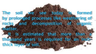SOIL FORMATION | PPTX | Geology | Science