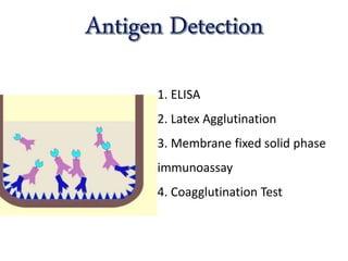 Sexually Transmitted Diseases (STDs) | PPTX