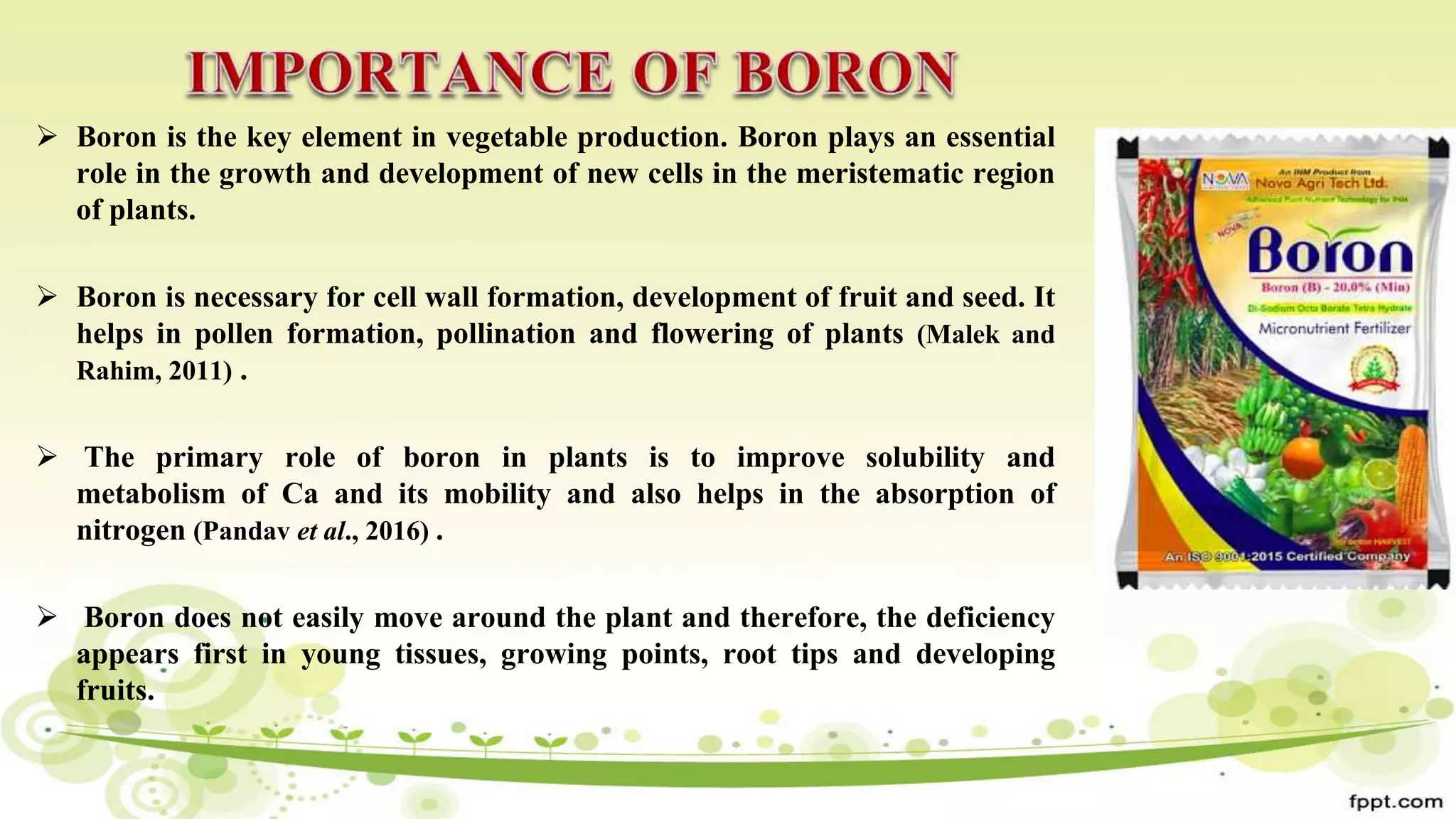Micronutrient and their diverse role in vegetable crops: advances and ...