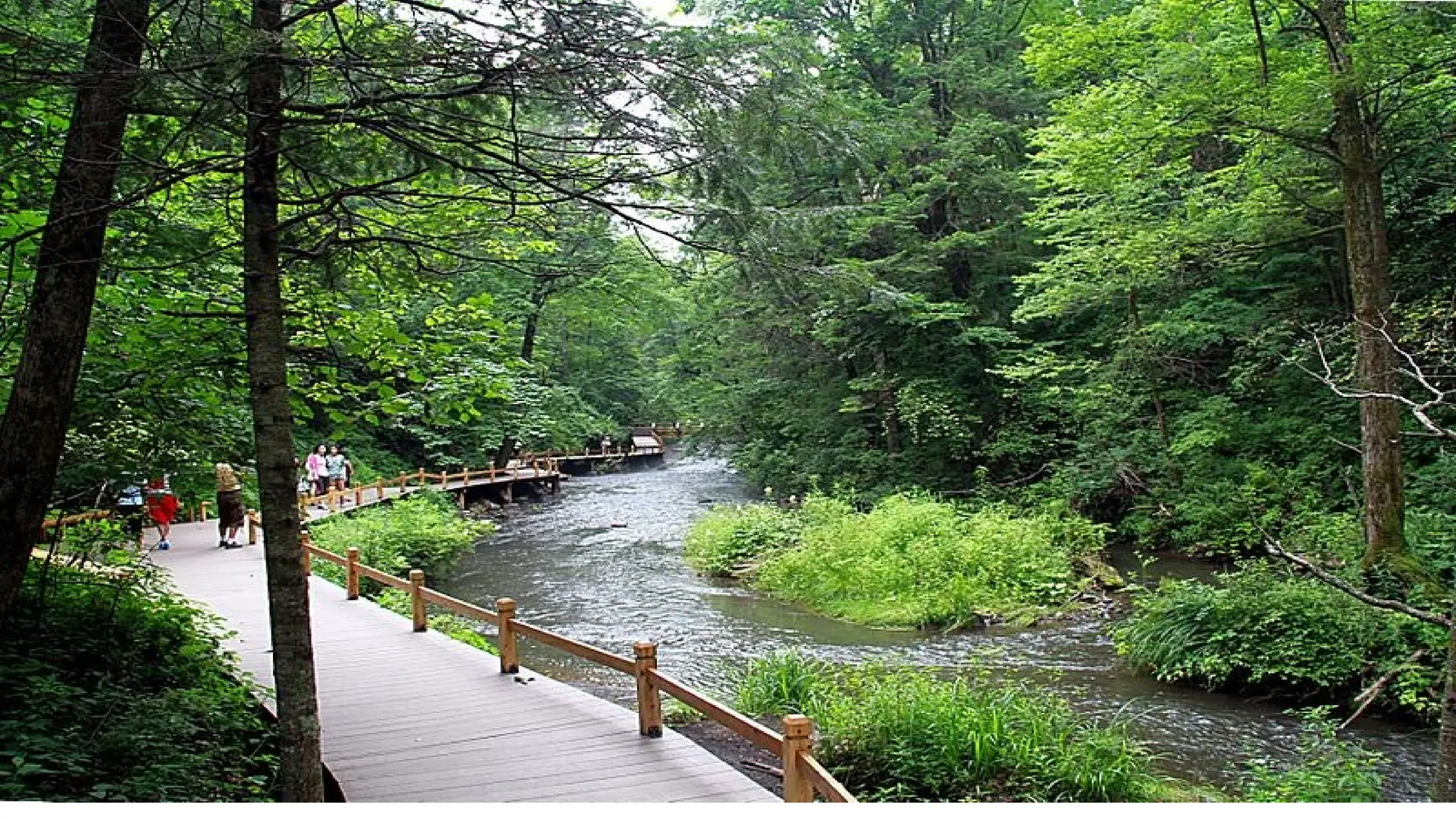 Multidisciplinary nature of the environment | PPTX