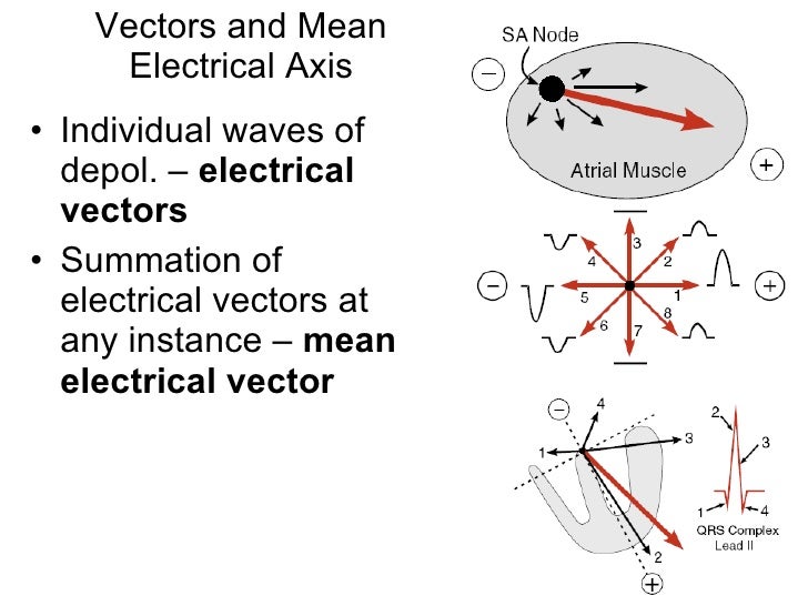 Heart Electrical Vector