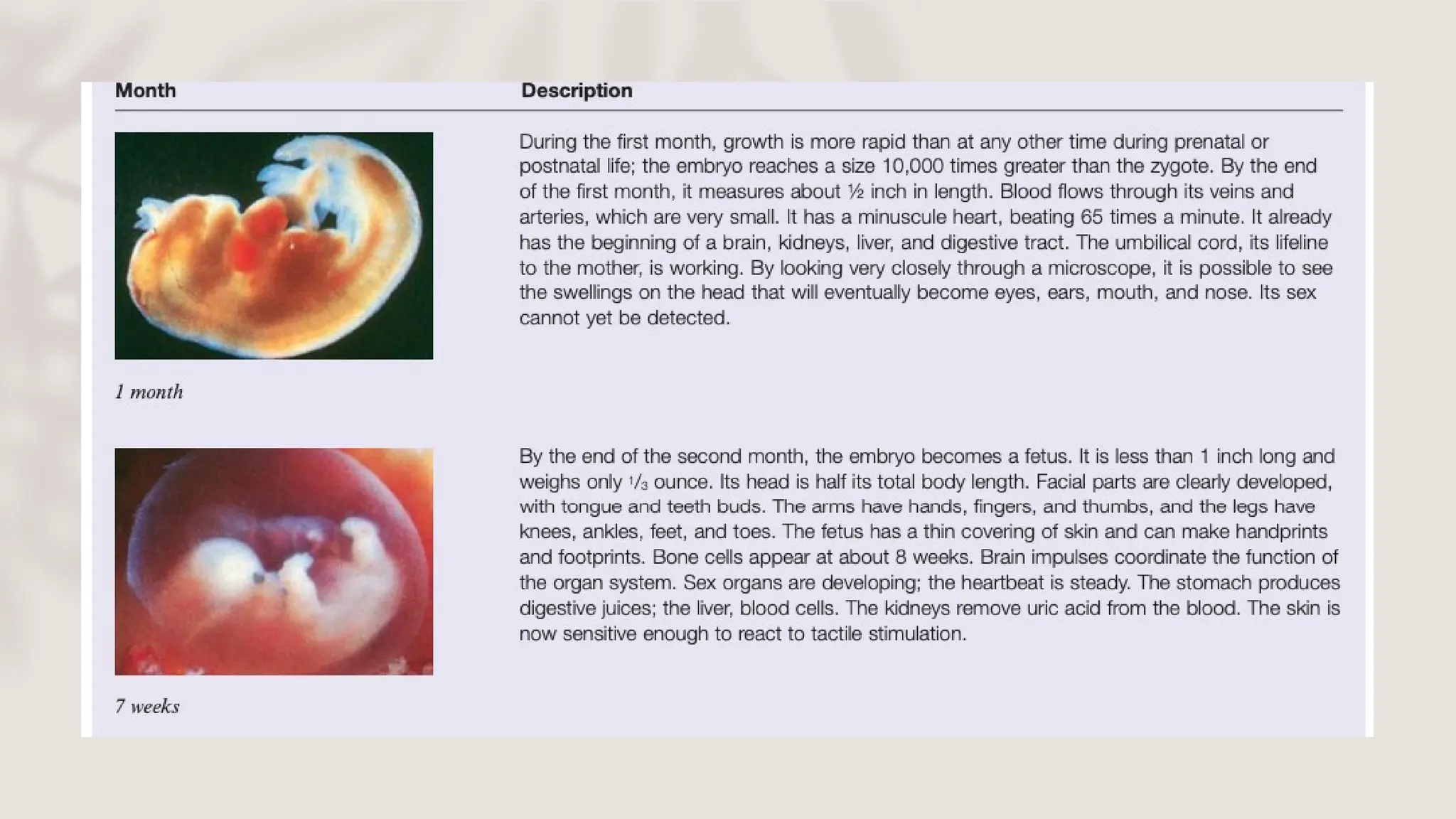 upload_931446bb-64a2-43ec-abc3-274dd85cf660.pptx