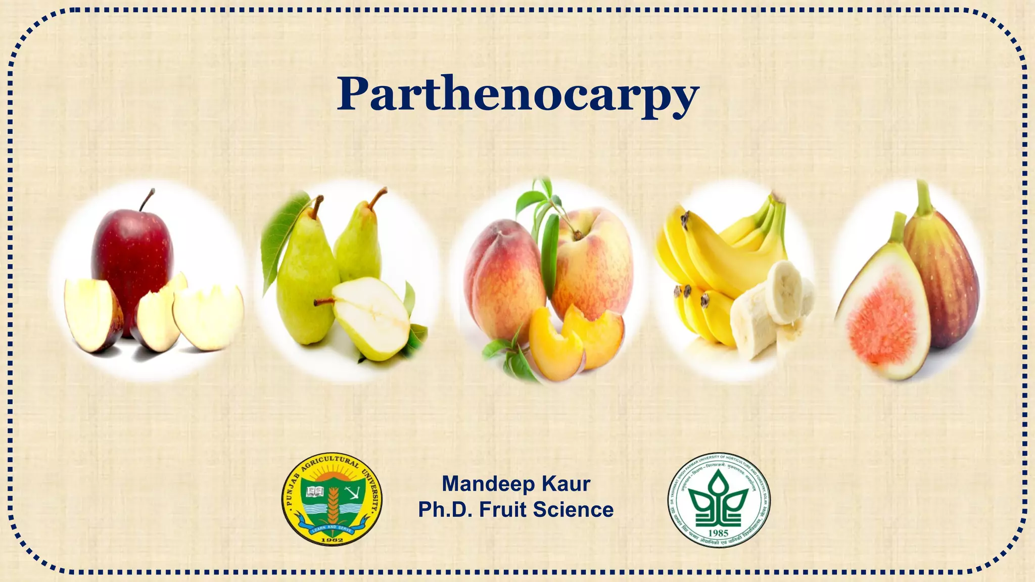 Parthenocarpy | PPT