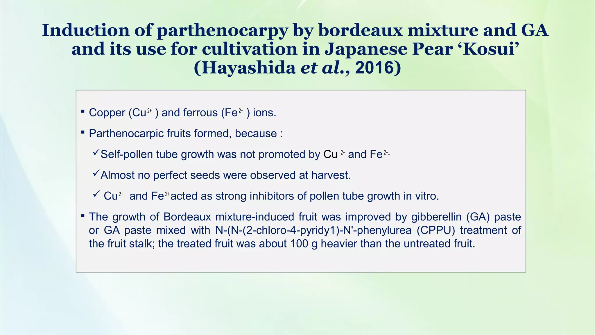 Parthenocarpy | PPT