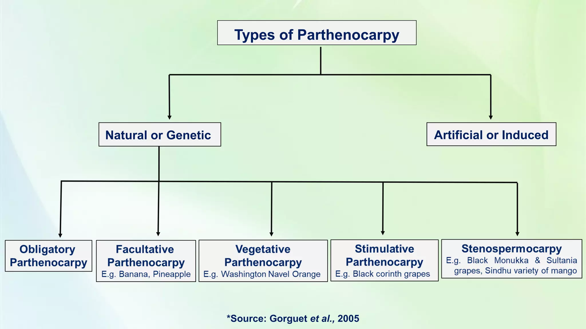 Parthenocarpy | PPT