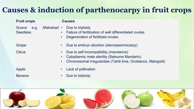 Parthenocarpy | PPT