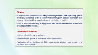 Parthenocarpy | PPT