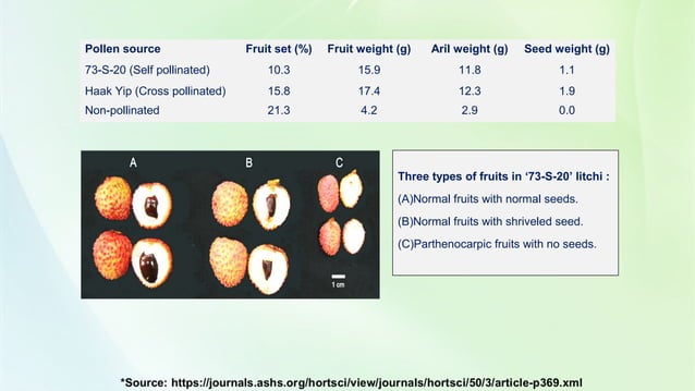 Parthenocarpy | PPT