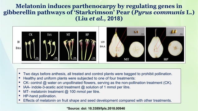Parthenocarpy | PPT