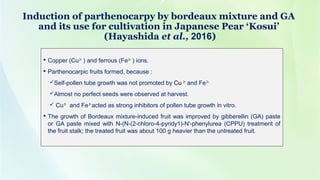 Parthenocarpy | PPT