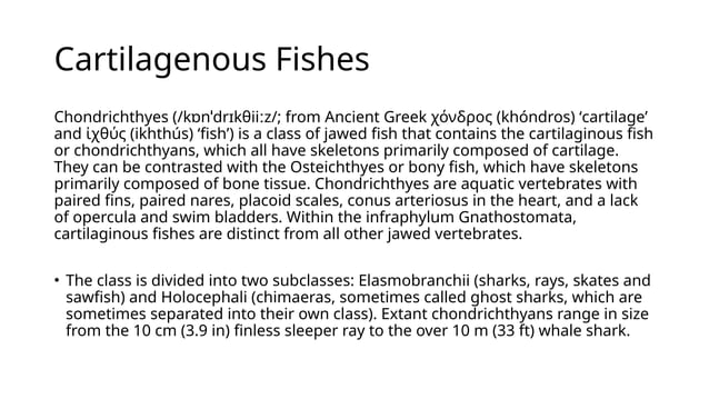 In short introduction of cartilagenous and bony fishes.pptx
