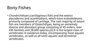 In short introduction of cartilagenous and bony fishes.pptx