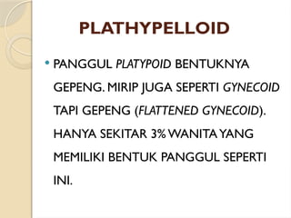 Dasar Pengenalan dan Pengantar Sistem Anatomi Wanita | PPTX