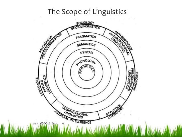 Introduction to Linguistics_2 Linguistics, Language and the Origin of…