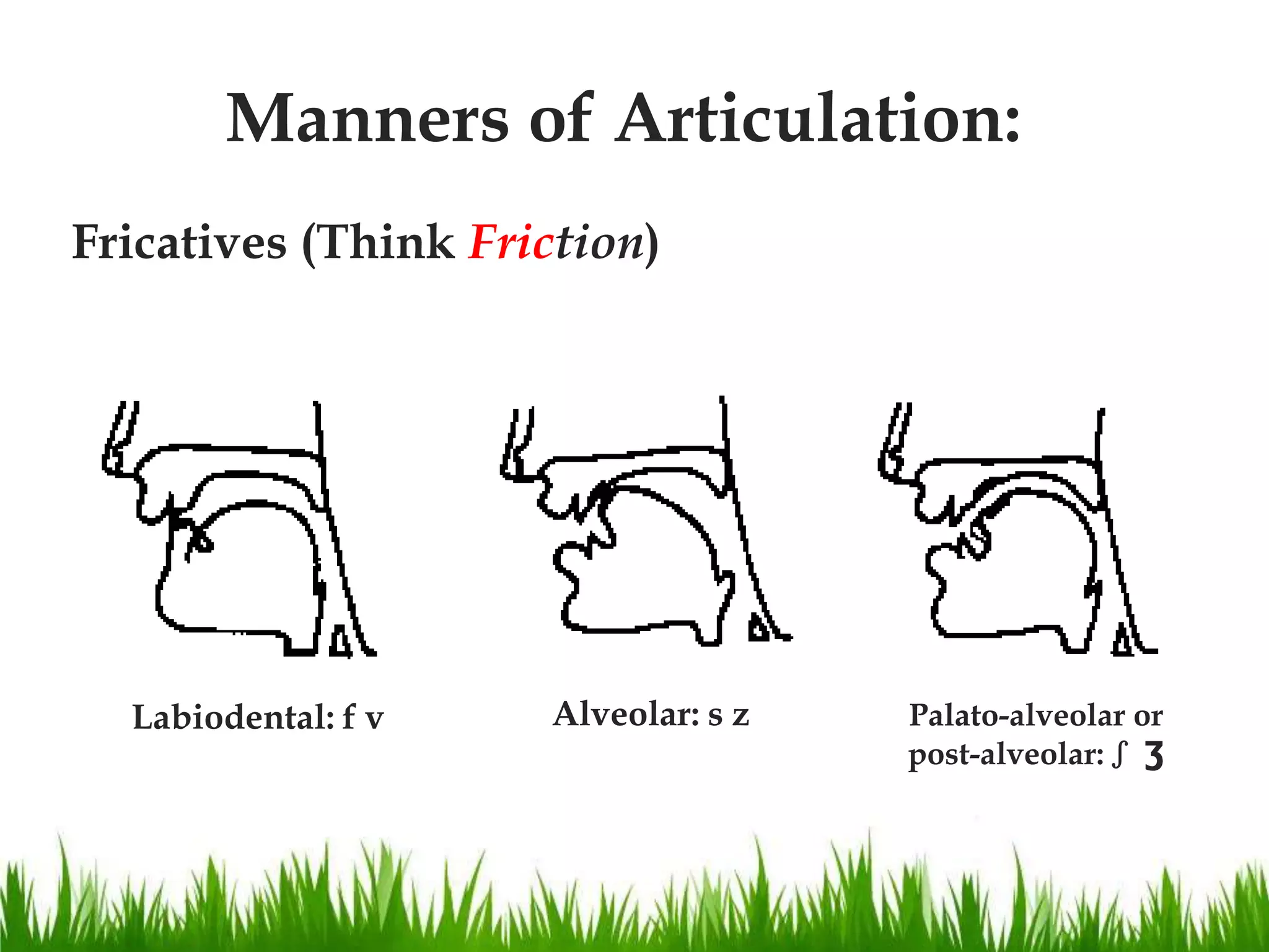 Intro. to Linguistics_6 Phonetics (Organ of Speech, Segment ...